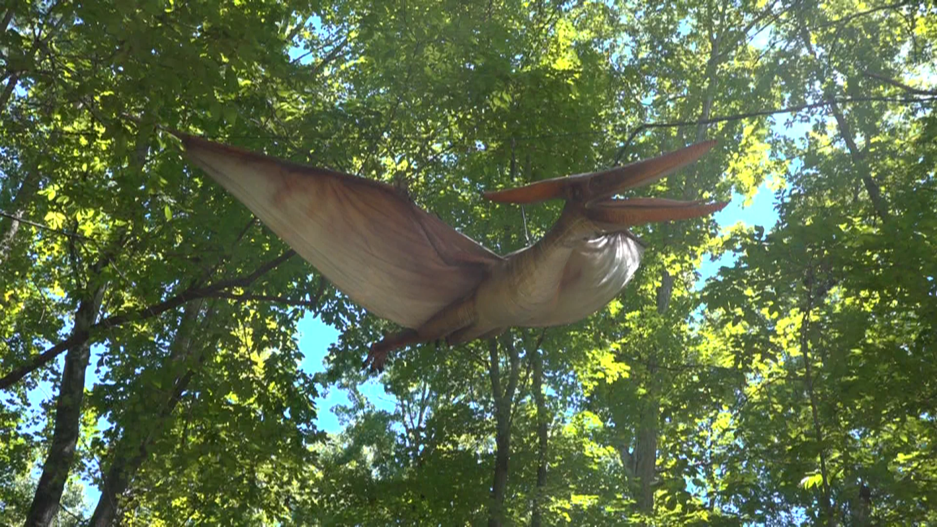 Sunday is the last day for Explore Park’s T-rex Trail - Roanoke Daily ...