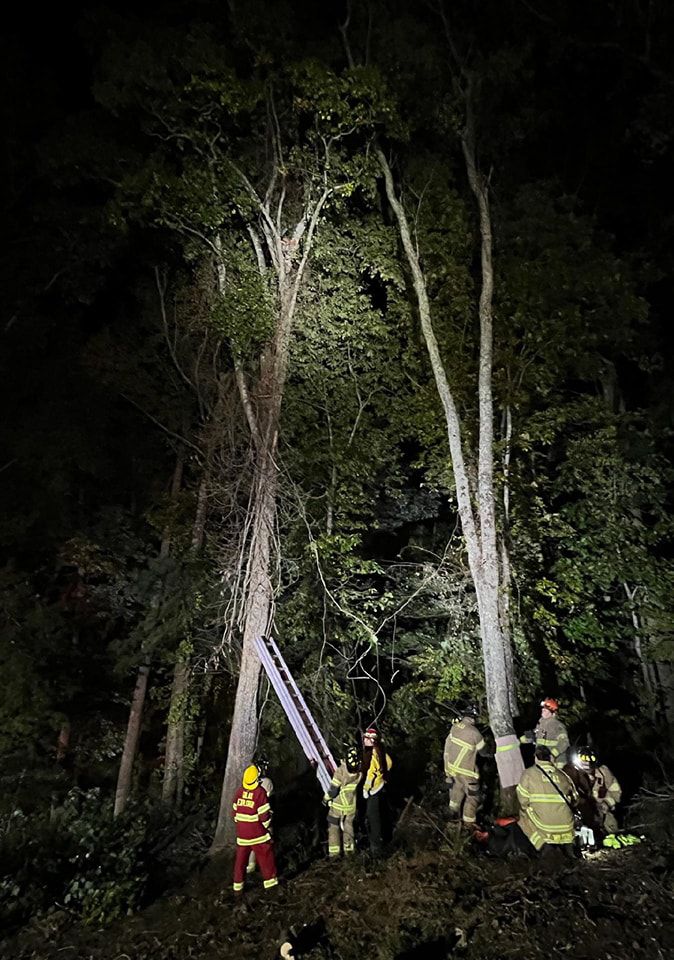 Man stuck in tree rescued by Galax Fire Department - Roanoke Daily Magazine