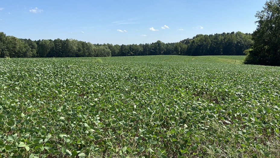 Millions in state funding available to preserve Virginia farmland ...