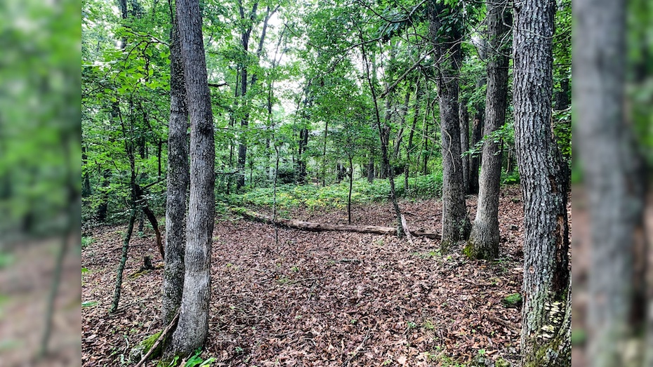 Virginia creates new natural area preserve to protect rare millipede ...